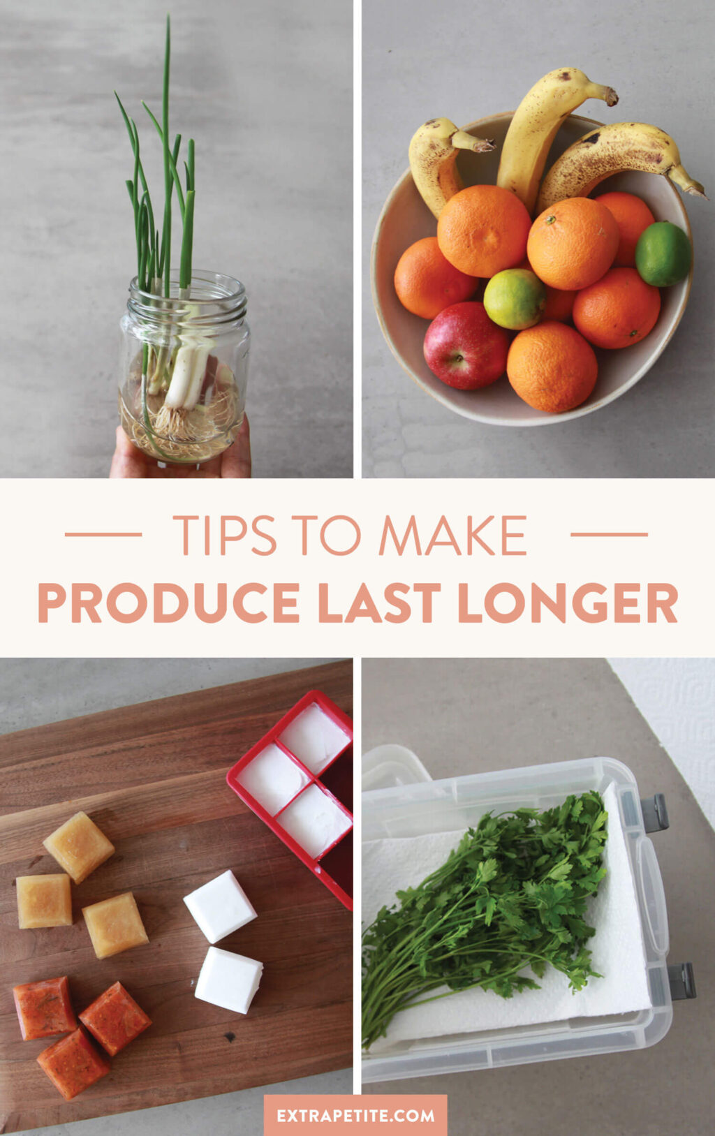 Tips to Keep Fruit & Vegetables Fresh Longer